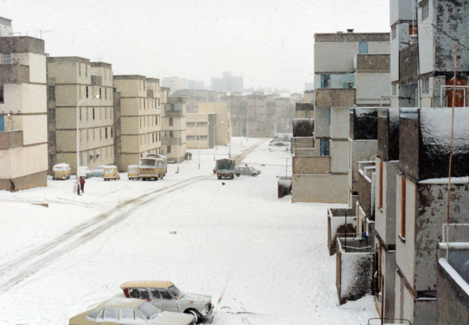 What did a Christmas in Algeria look like in the 1980's ...